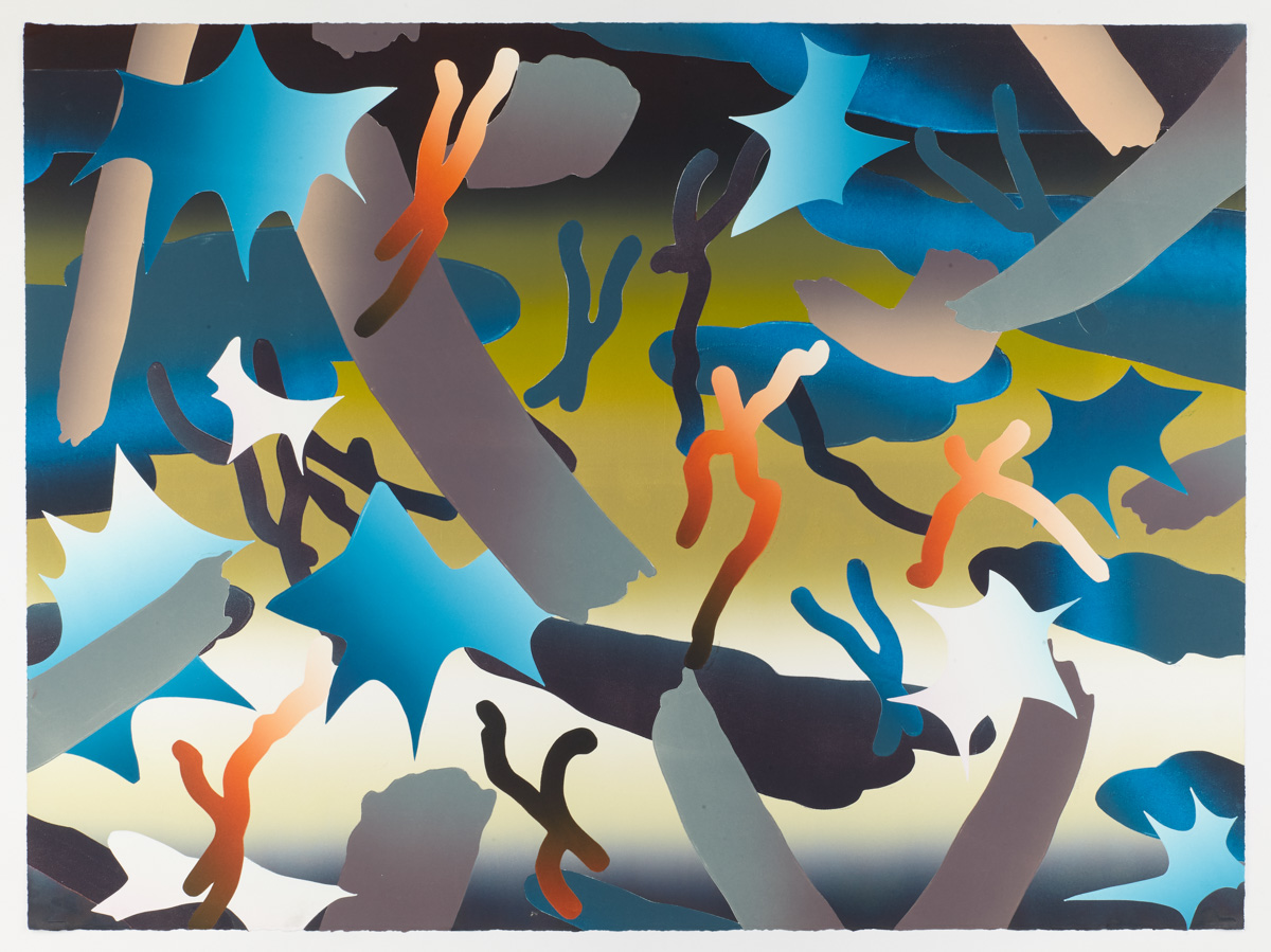 Mono Print Magic - Kat Richards - Women's Studio Workshop : Women's ...