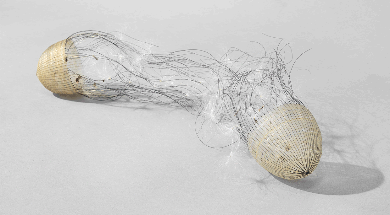 #FirstFriday: March Exhibitions - Women's Studio Workshop : Women's Studio Workshop