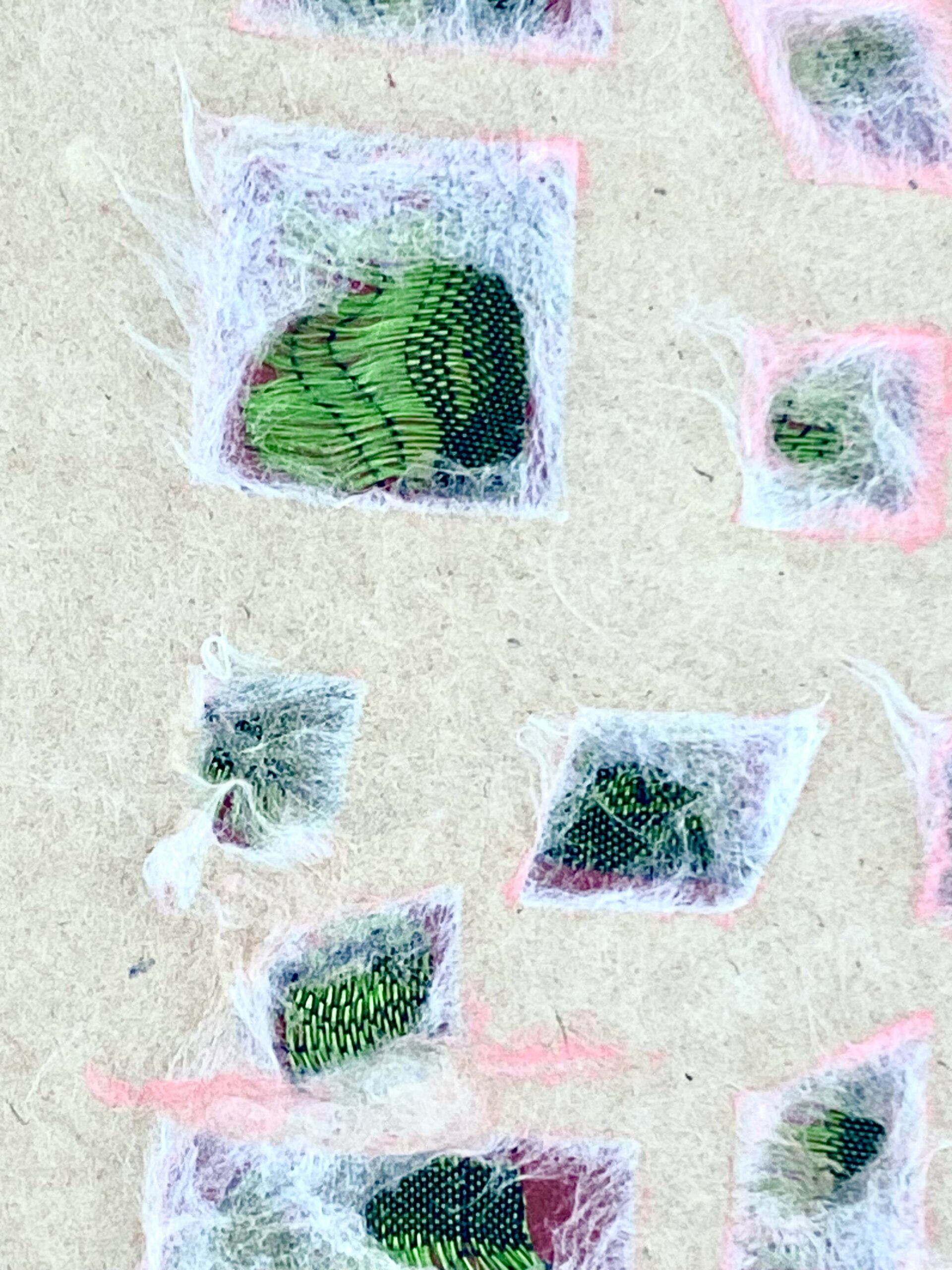 What The F!?! - Fiber, Fabrics, Fusing, Facades with Jaz Graf : Women's ...