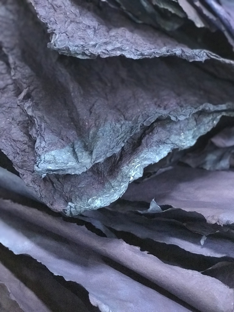 The Topography of Handmade Paper (Sec. 2) with Mary Hark - Women's ...